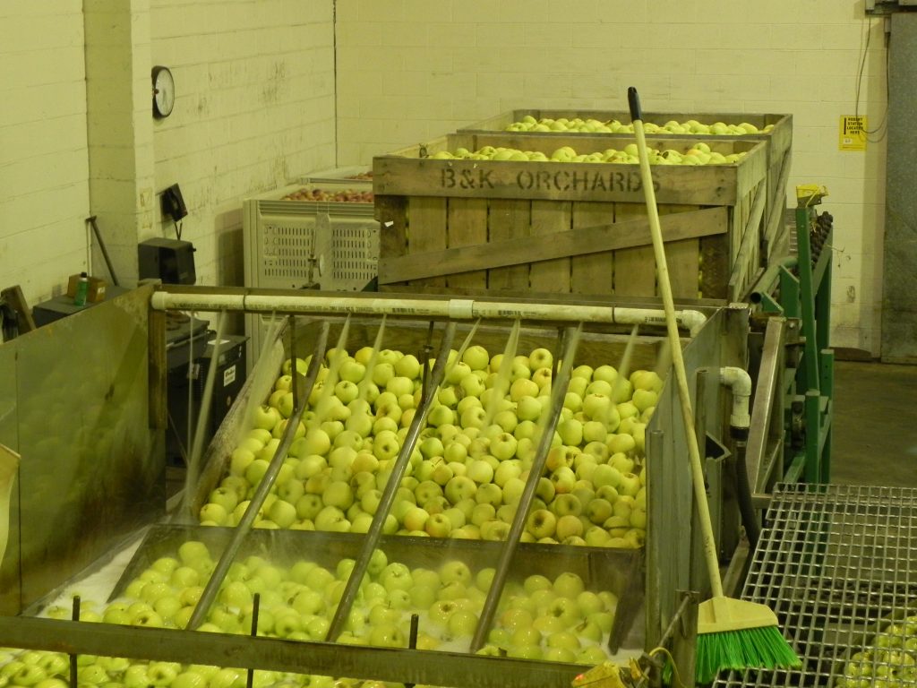 Cleaning & disinfecting products for food industry